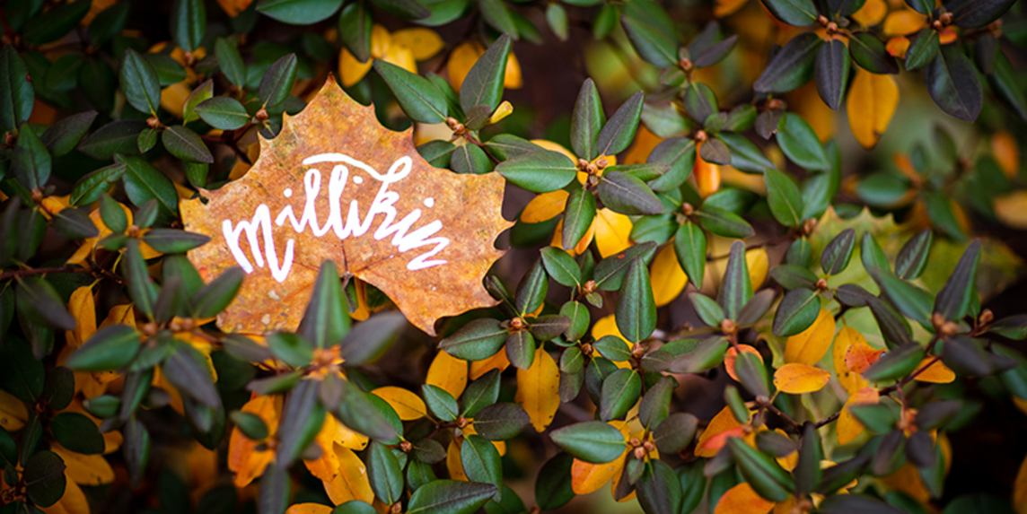 Top Ten Fall Activities in Central Illinois and Beyond | Millikin ...